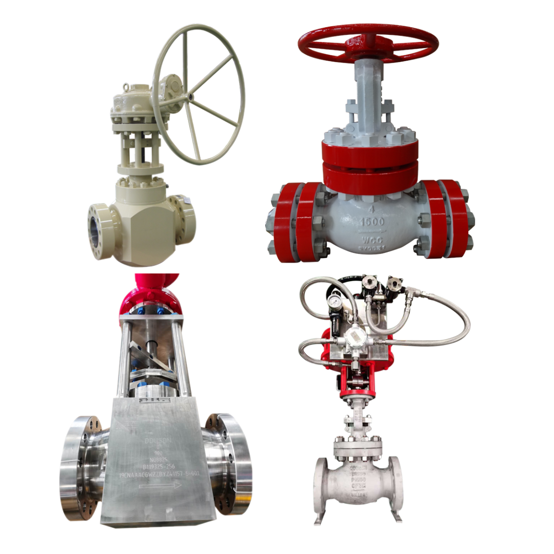 Globe Valve Malaysia - Precise Flow Control Valves | Flexy